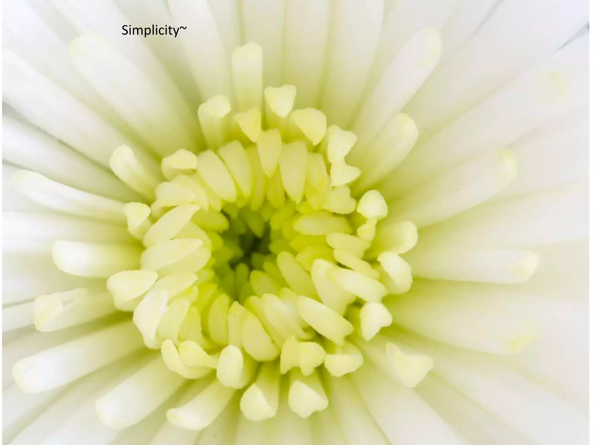 Compositional Rules of Photography | PPT