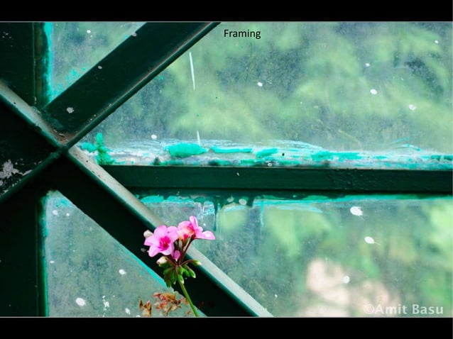 Compositional Rules of Photography | PPT