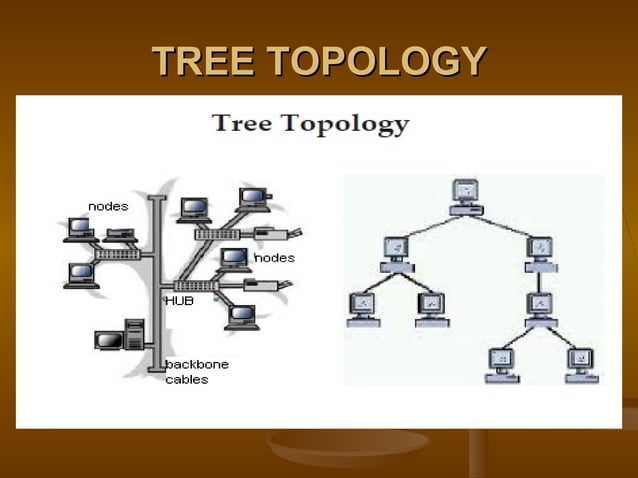 networking | PPT | Computer Networking | Computing
