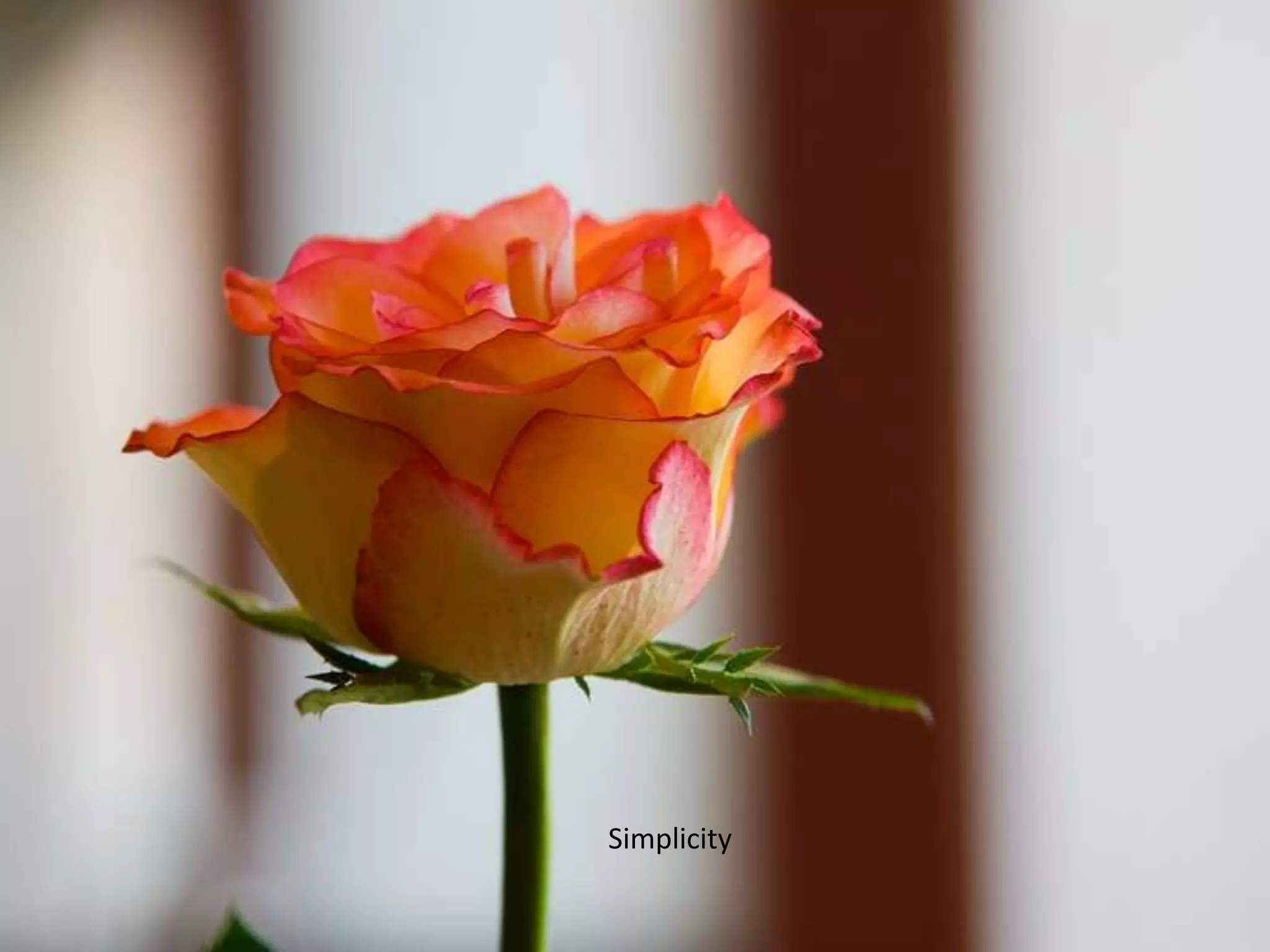 Composition Rules Presentation | PPT