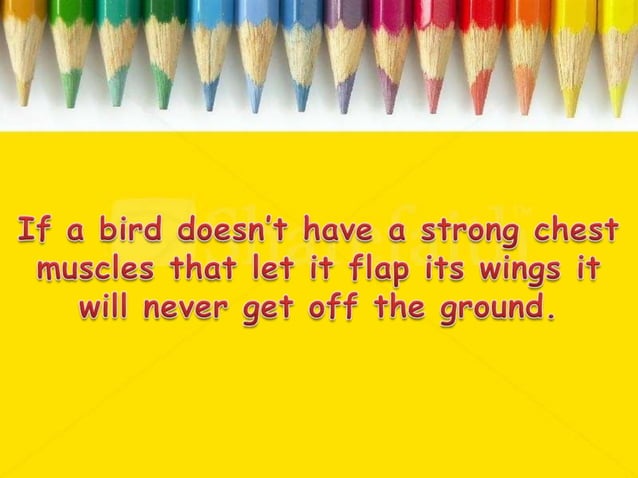 WHY CAN'T ALL BIRDS FLY? | PPT