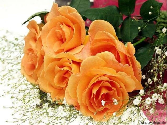 Presentation1 | PPT | Free Download