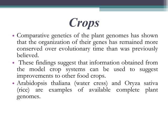 Application Of Bioinformatics In Different Fields Of Sciences