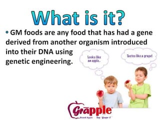 GM Food | PPTX