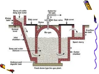 LIVESTOCK WASTE DISPOSAL AND MANAGEMENT | PPT