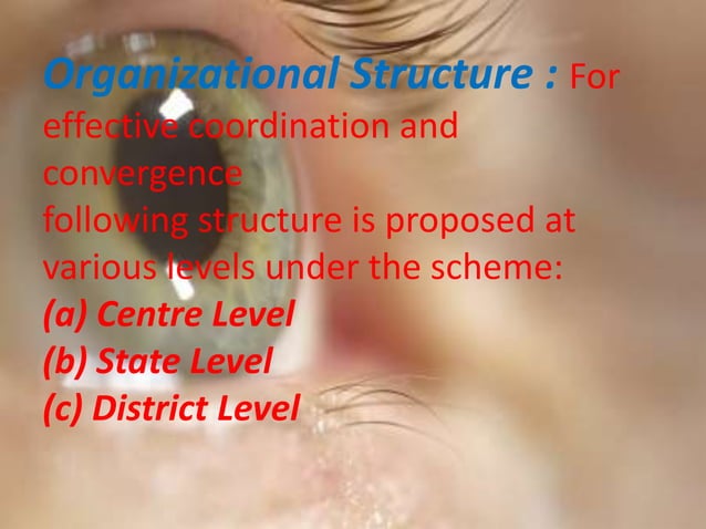 national blindness control programme | PPTX | Eye and Vision Conditions ...