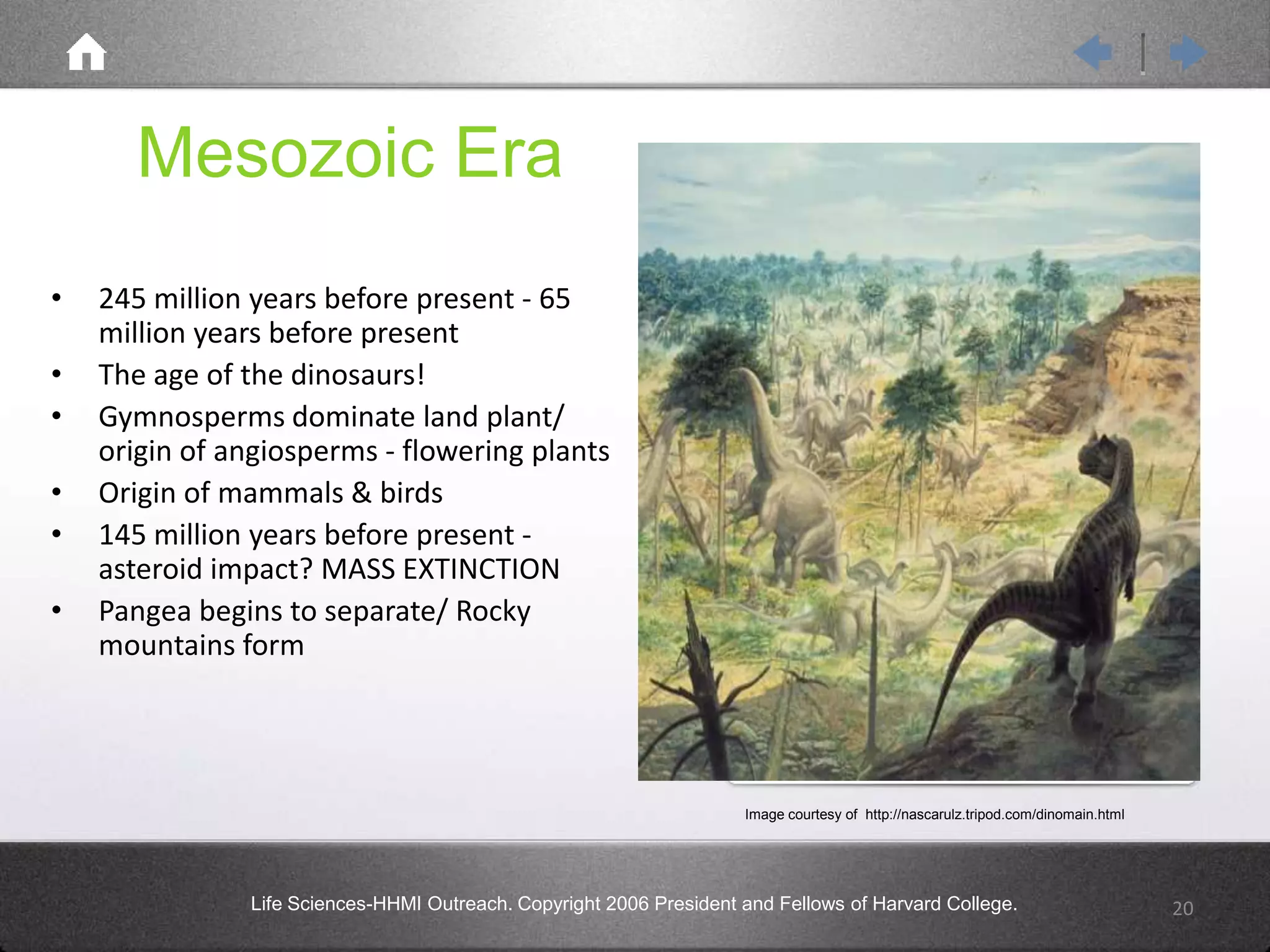 Geology of Earth | PPTX