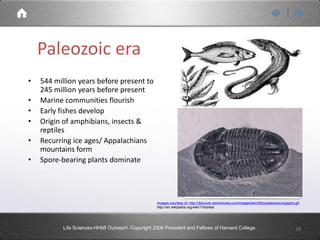 Geology of Earth | PPTX