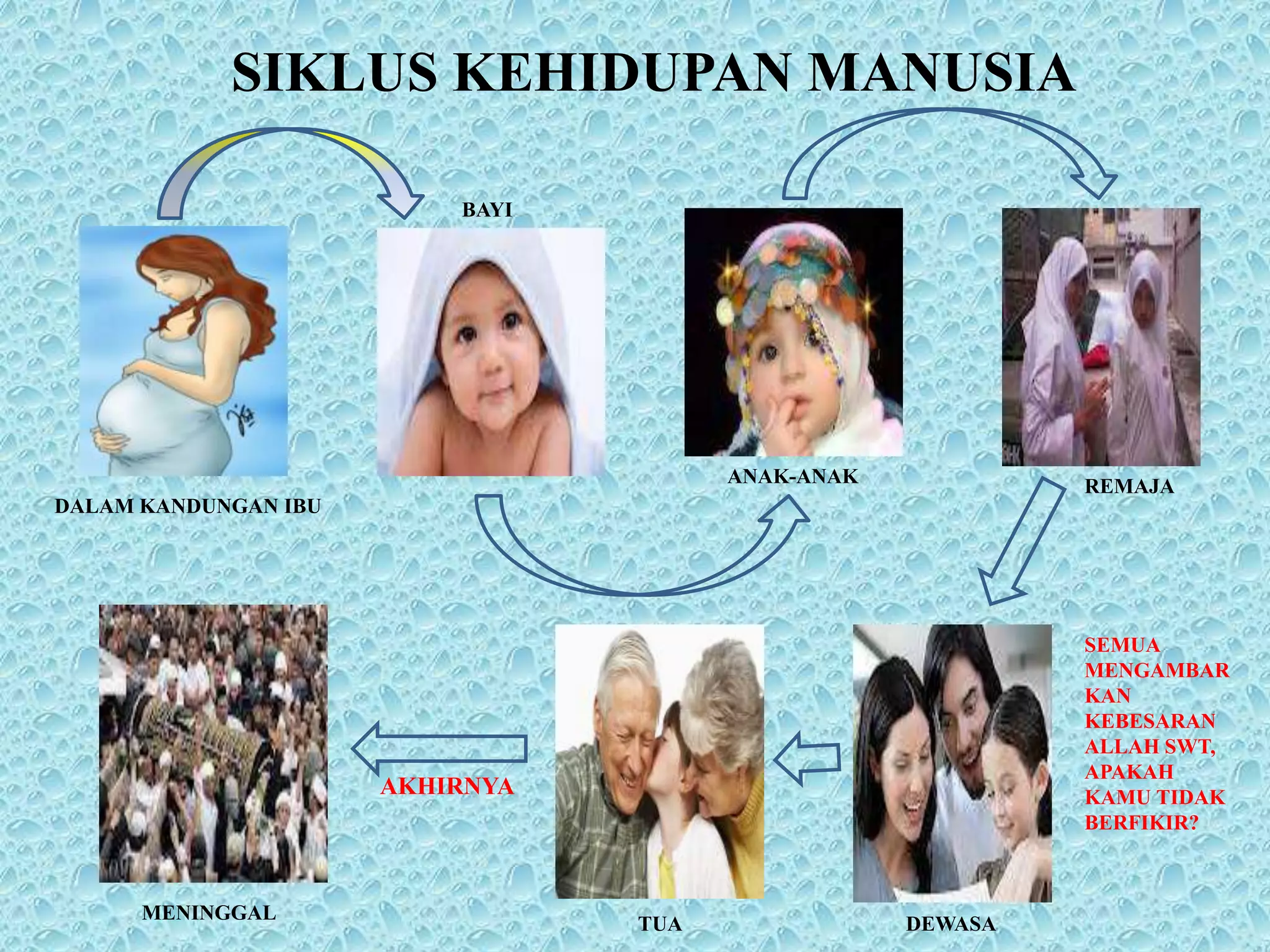 Presentation1 | PPTX