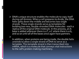 Presentation1 | PPTX | Biological Sciences | Science