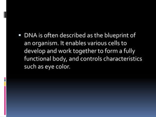 Presentation1 | PPTX | Biological Sciences | Science