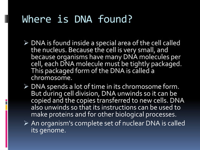 Presentation1 | PPTX | Biological Sciences | Science