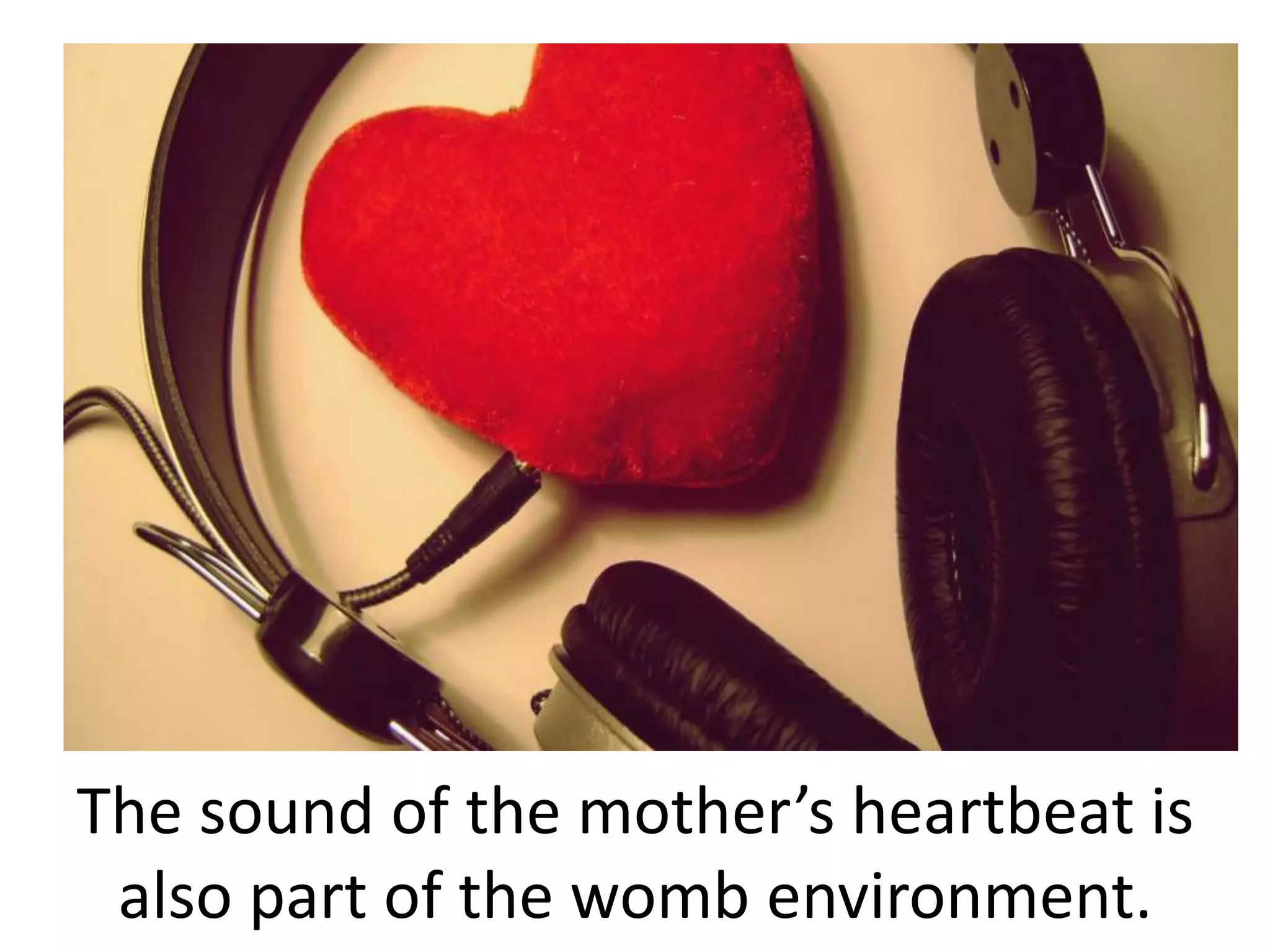 Project Design Ideas | PPT