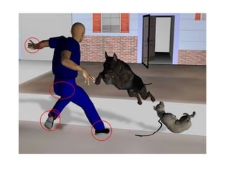 Legal 3D Animation Samples | PPT