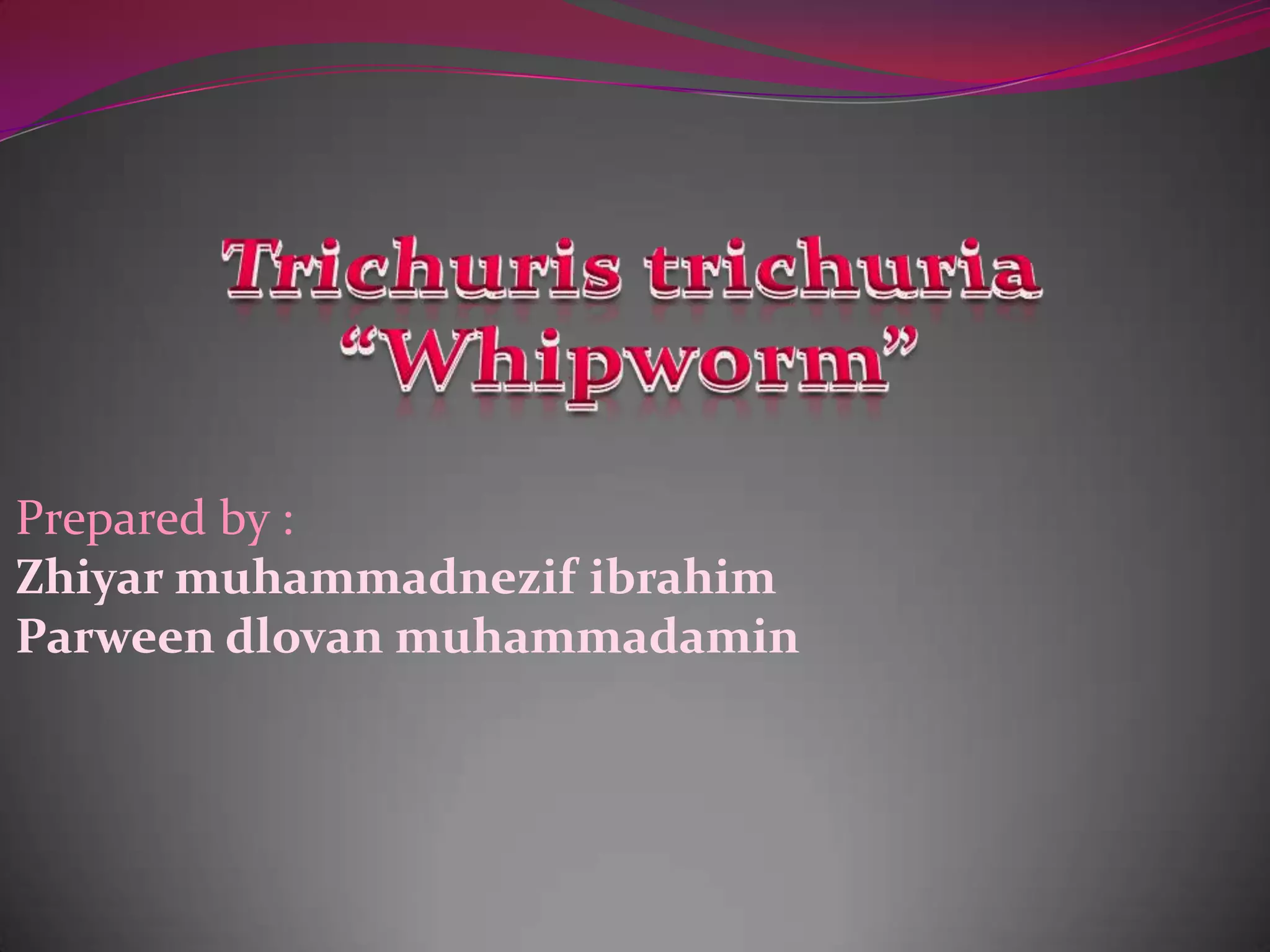 TRICHURIS TRICHURIA | PPTX