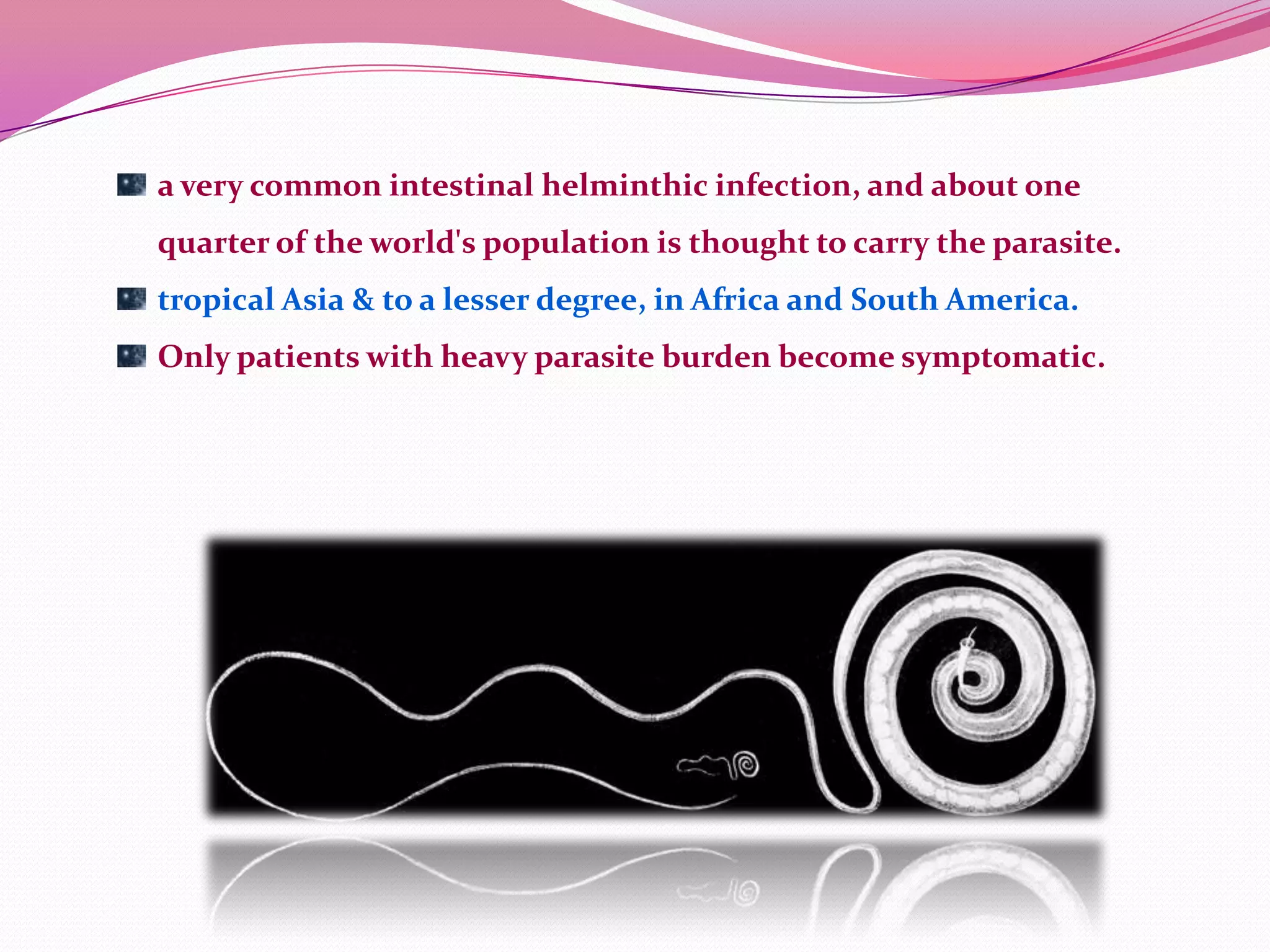 TRICHURIS TRICHURIA | PPTX