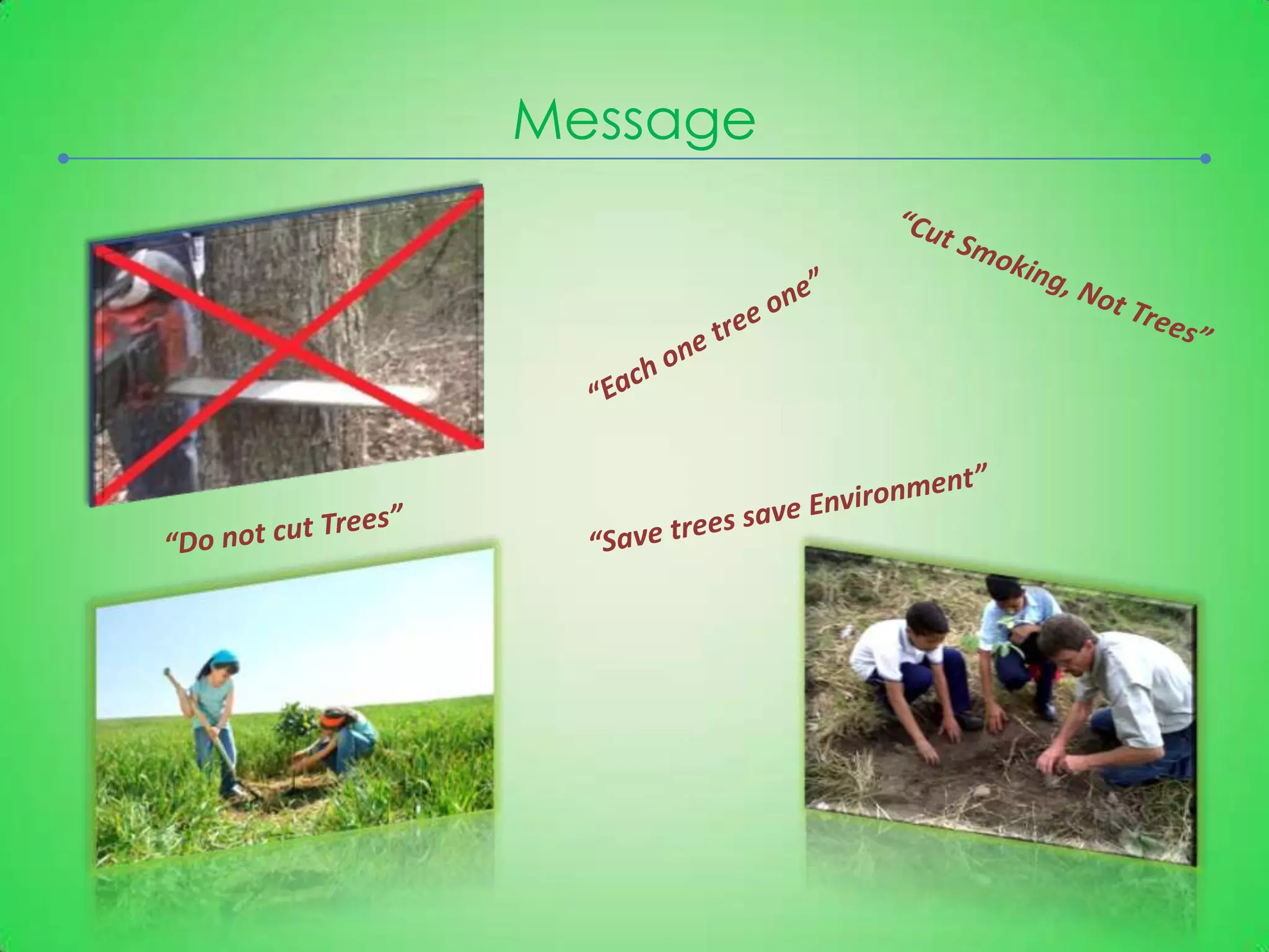 Importance of Trees | PPTX