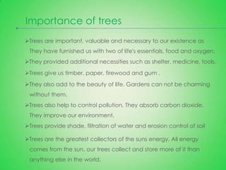 Importance of Trees | PPTX