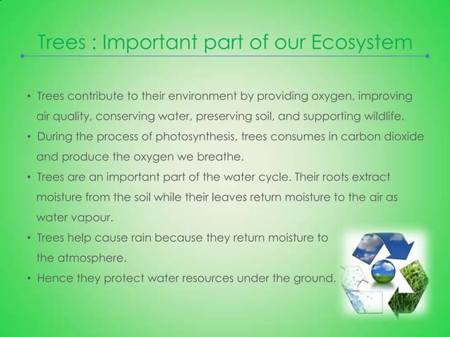 Importance of Trees | PPTX