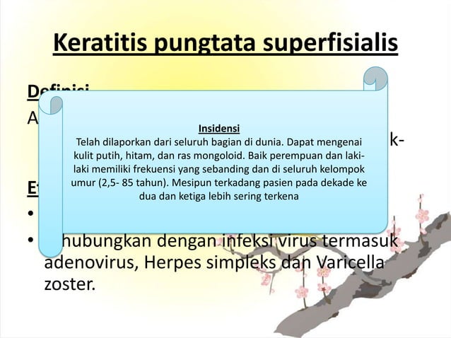keratititis pungtata e.c konjungtivitis | PPTX