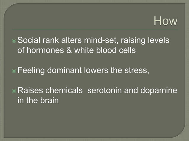 how social rank effects immunity slideshow | PPT