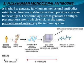 Humanized Monoclonal Antibody