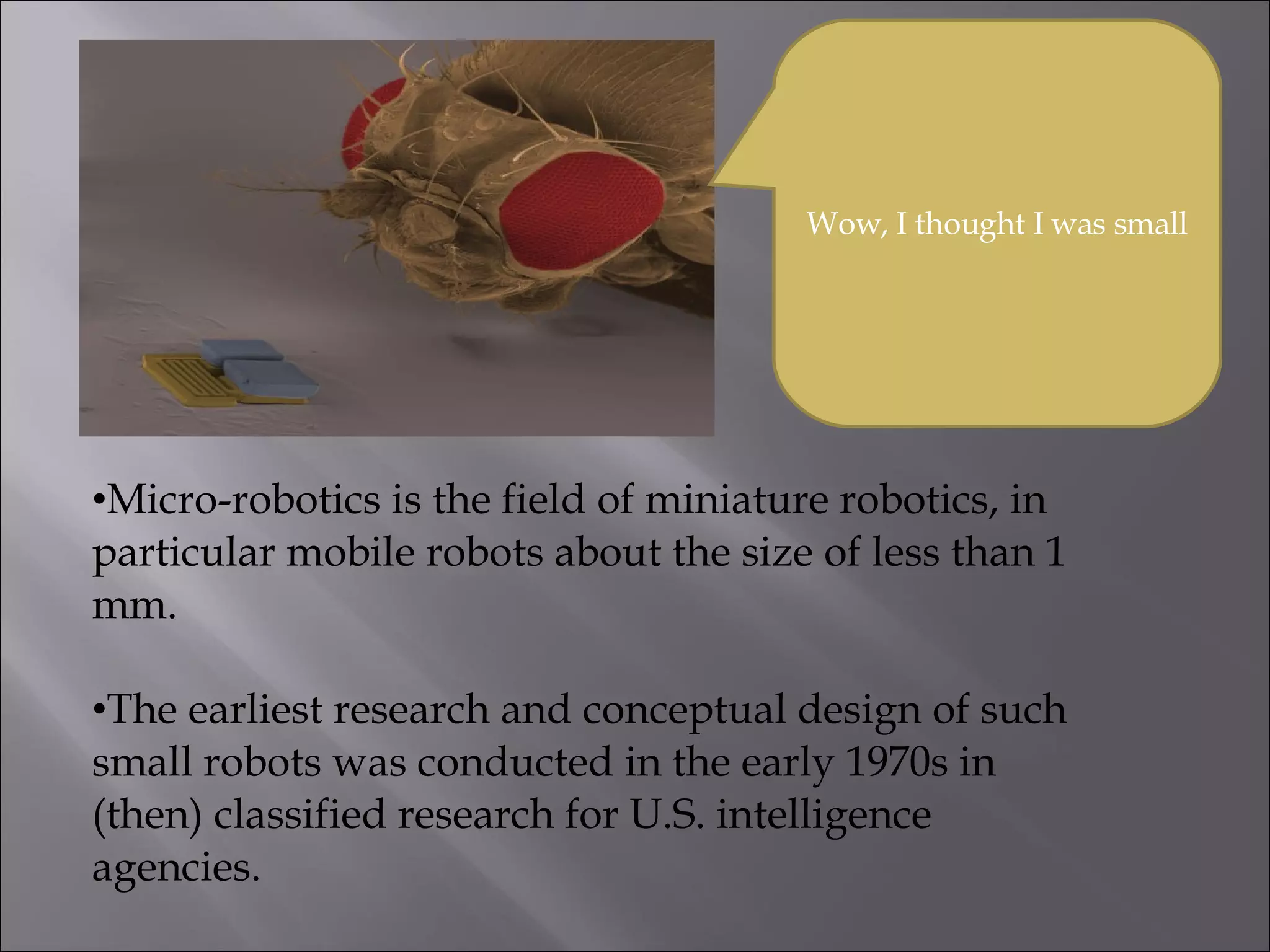 Micro-robotics | PPT