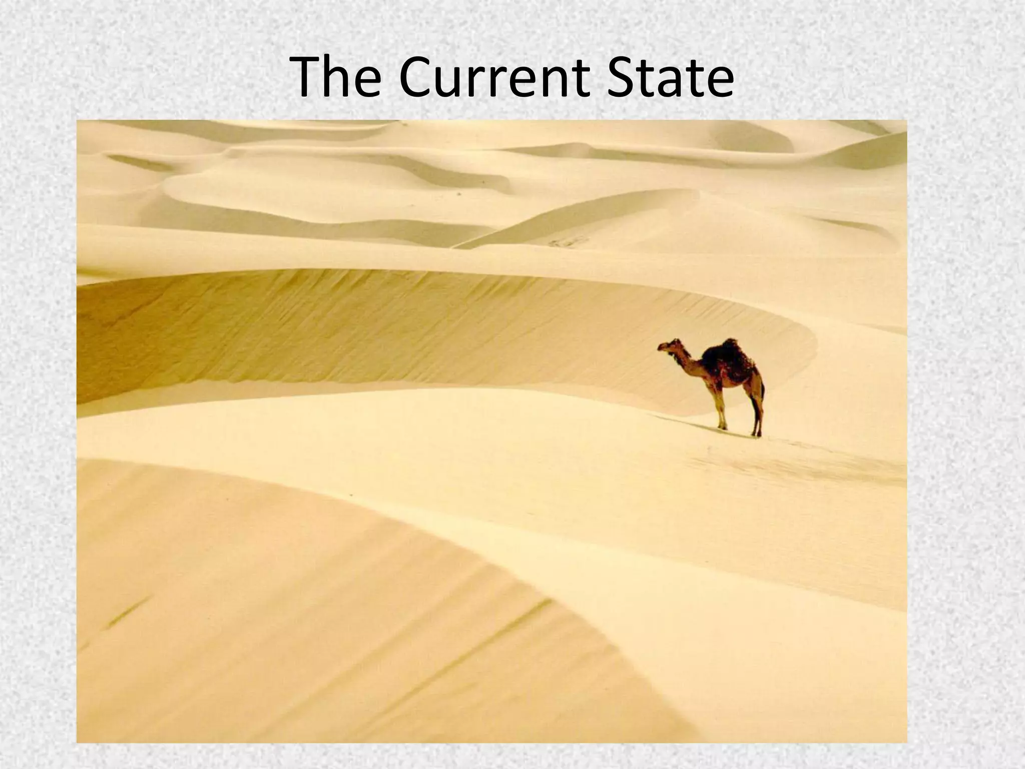 TPaP Presentation | PPTX