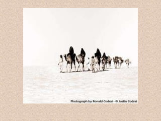 TPaP Presentation | PPTX