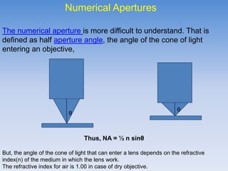 The Microscope | PPTX