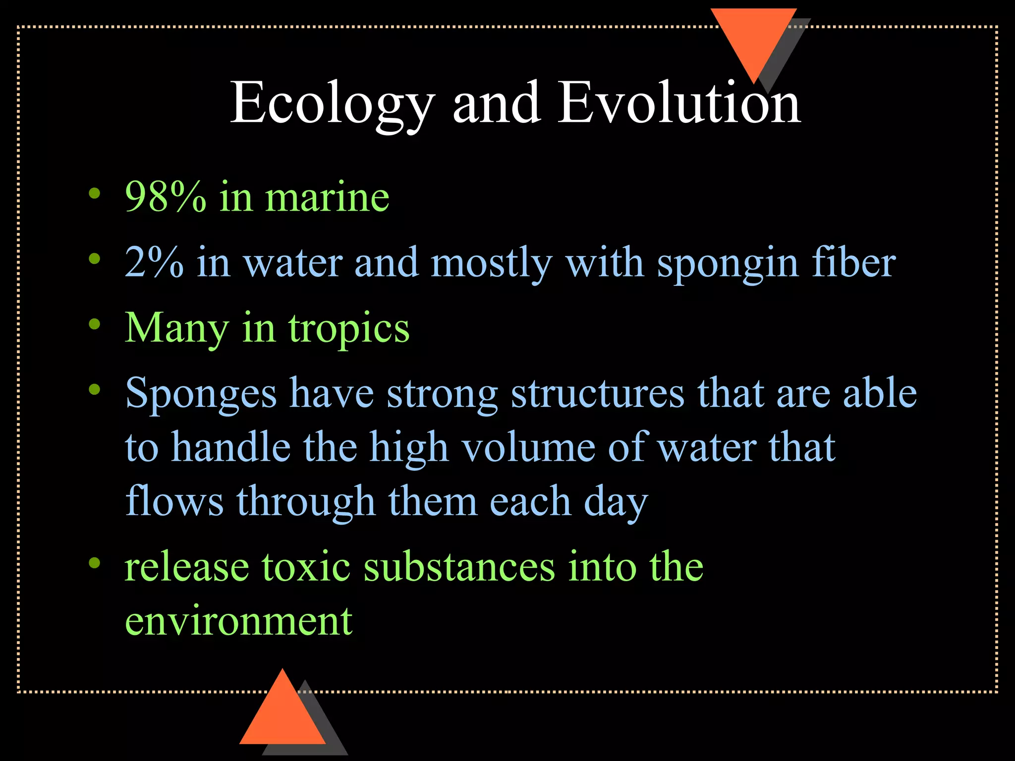 Poriferans and Placozoans | PPT
