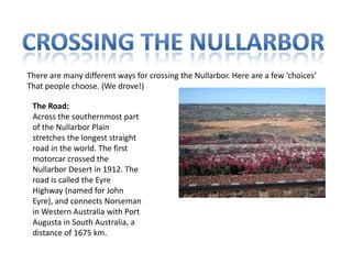 Nullarbor | PDF