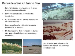 Geología costera de las playas de Puerto Rico | PPTX