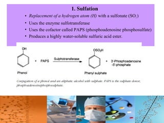 nutritional aspects of biotransformation | PPT