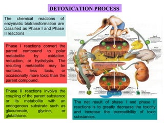 nutritional aspects of biotransformation | PPT