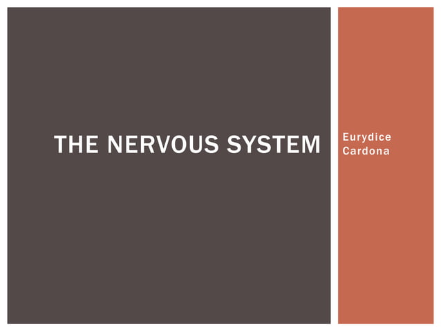 the nervous system | PPTX