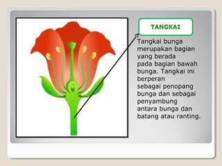 Presentation1 | PPT