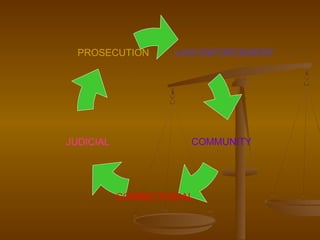 criminal justice system | PPT