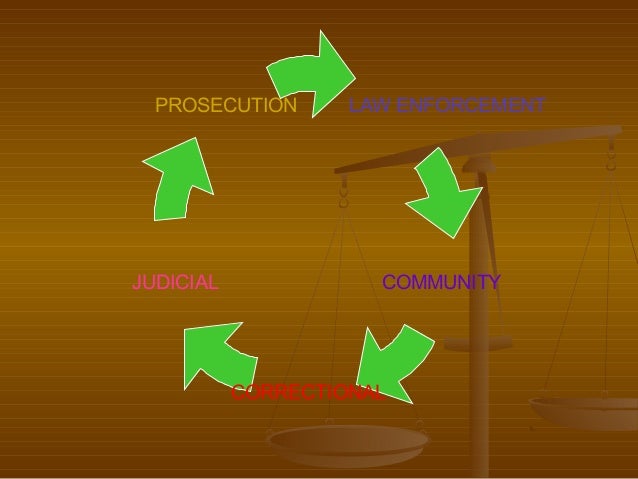 criminal justice system