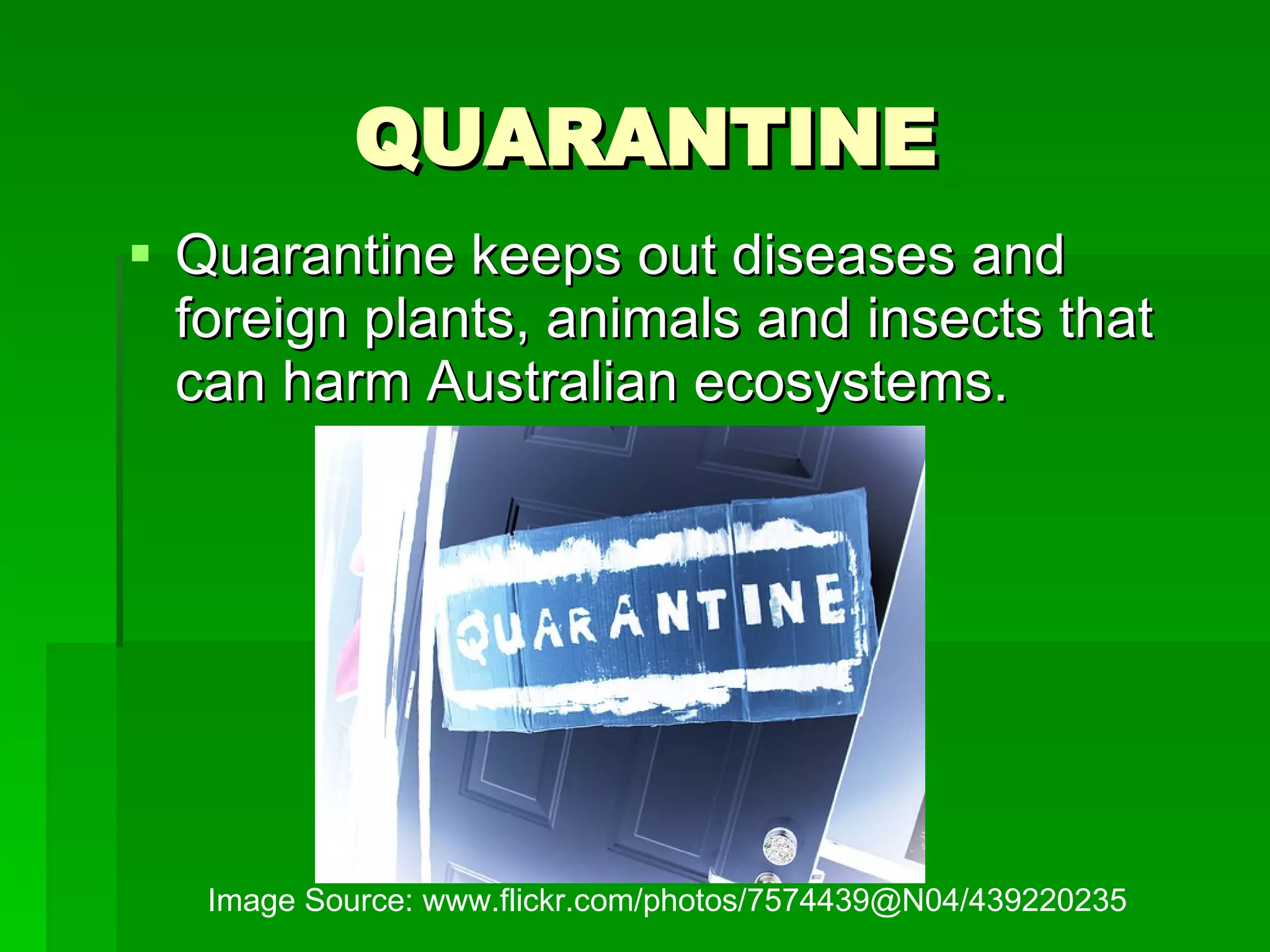 quarantine | PPT