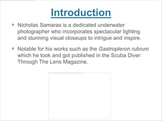 Nicholas Samaras | PPTX | Scuba Diving | Extreme Sports