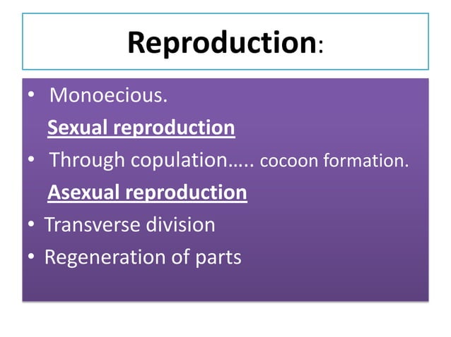 class Clitellata | PPTX