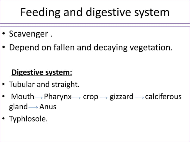 class Clitellata | PPTX