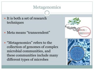 metagenomics | PPT