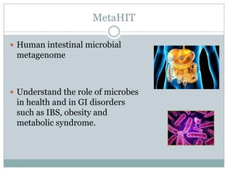metagenomics | PPTX