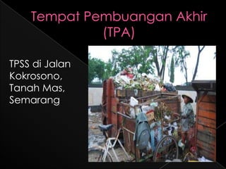 Presentasi Hukum Lingkungan Sampah dan Adipura Kota Semarang | PPTX