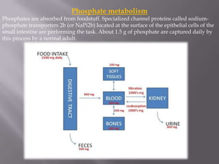 Hypophosphatemic Rickets | PPTX