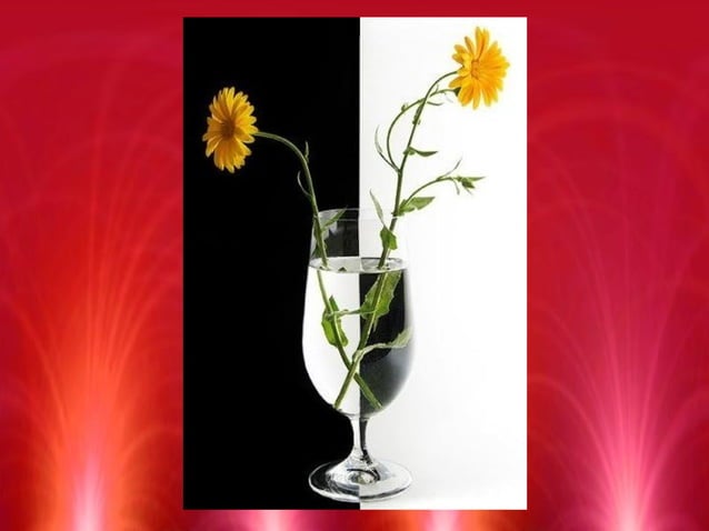 Balance in Graphic Design | PPT