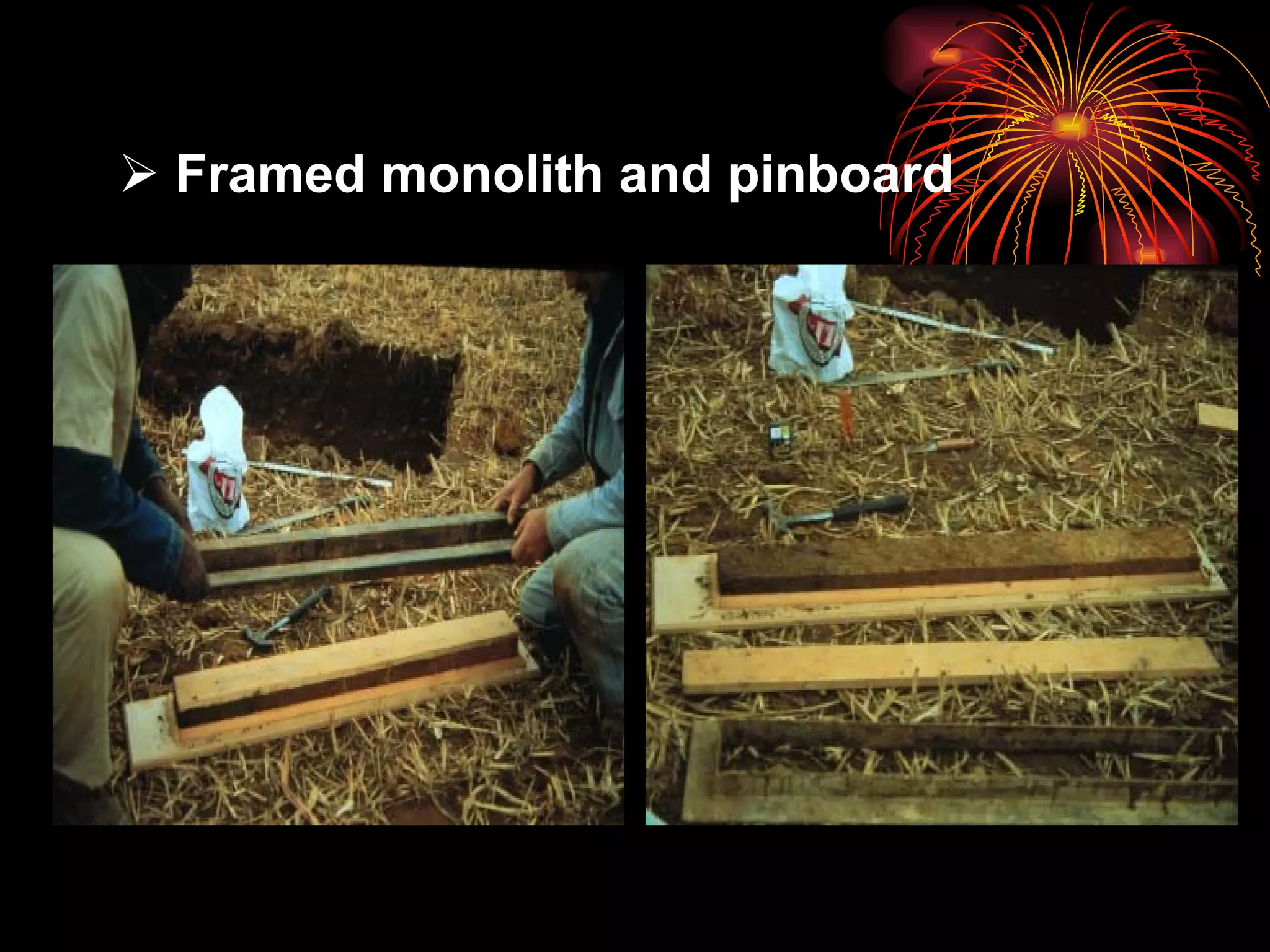 Roots, Root System, Root Structure, Root Cap & Root Development | PPT