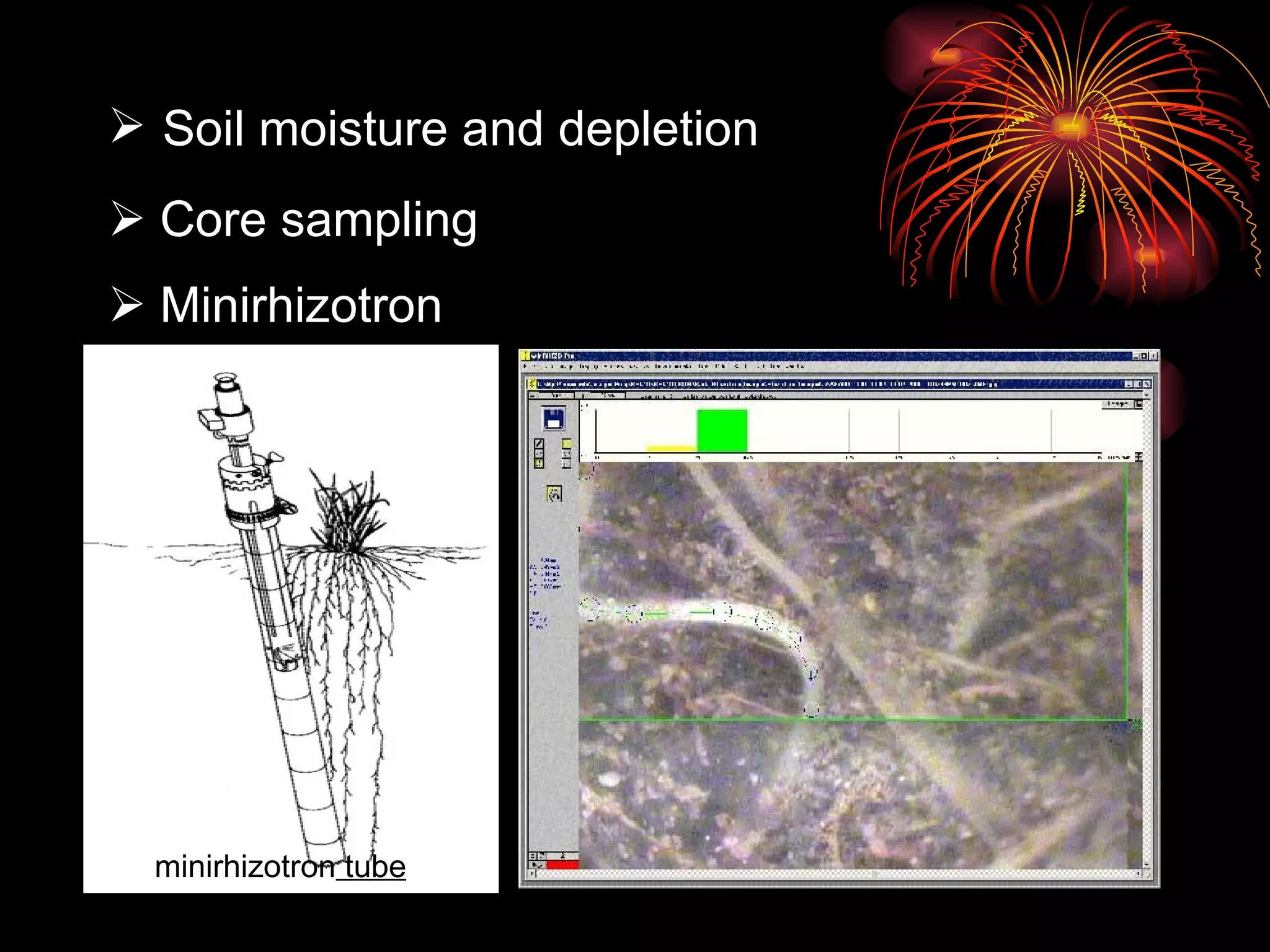Roots, Root System, Root Structure, Root Cap & Root Development | PPT